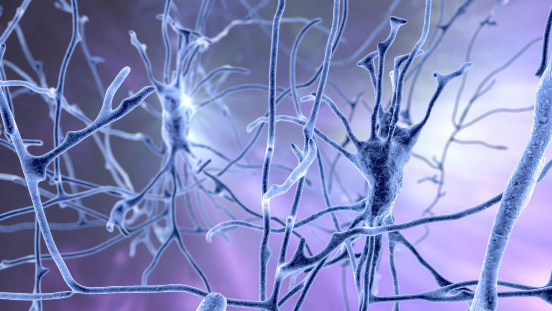 A New Frontier in Regenerative Medicine